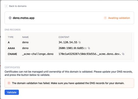 Unable To Add Custom Domain · Issue 356 · Denolanddeployfeedback