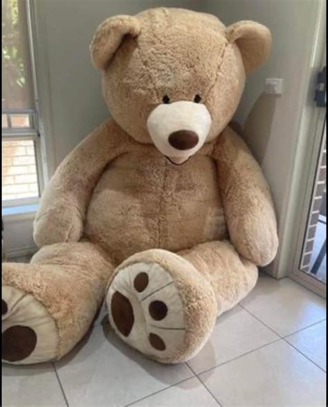 Massive Teddy Bear Hire Au