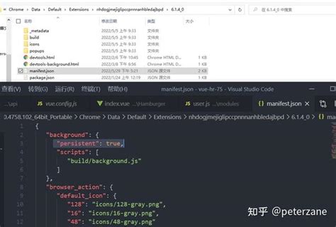 vue js is detected on this page的解决方法 知乎