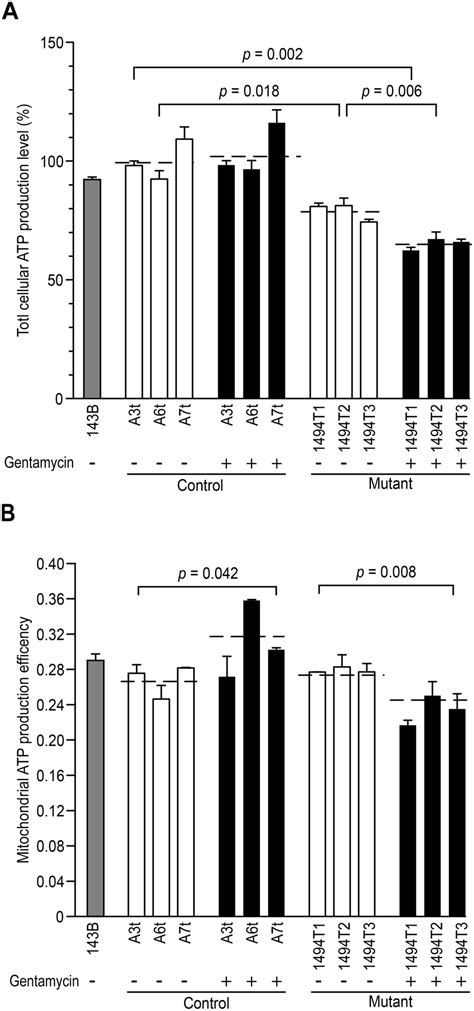 Measurement Of Cellular ATP Production And Its Efficiency Rate The Download Scientific Diagram