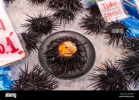 A Collection Of Black Sea Urchins Is Shown On Ice At A Market One Sea