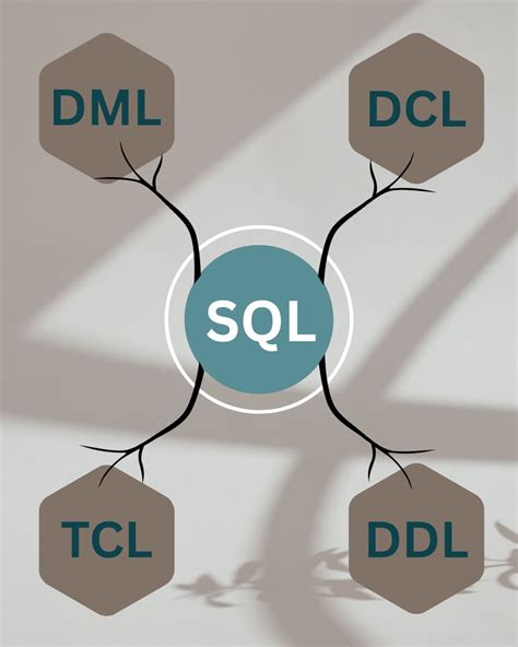 🧠 Understanding Sql Command Types The Root Of All Data Operations 🌱