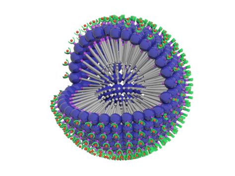 Surfactant Packing Autodesk Community