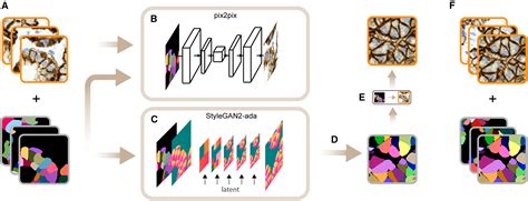 Structure Preserving Adversarial Generation Of Labeled Training Samples