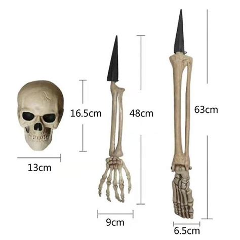Skeleton And Posable Skeleton Skeleton Model Plastic Skeleton Movable