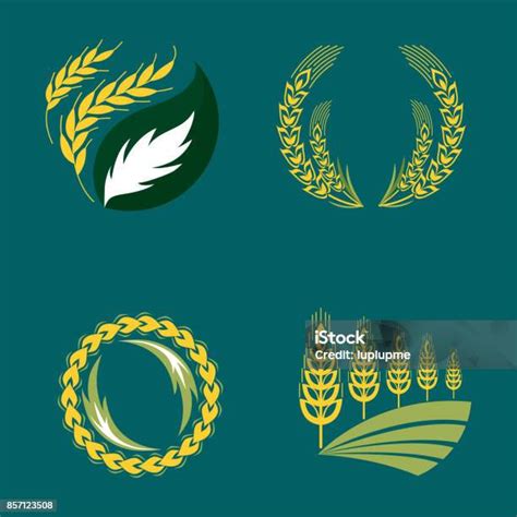 시리얼 귀와 곡물 농업 산업 또는 로고 배지 디자인 벡터 음식 그림 유기 자연 상징 0명에 대한 스톡 벡터 아트 및 기타 이미지 0명 건강한 생활방식 건강한 식생활