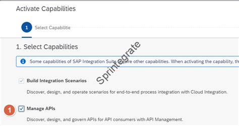 Graph On Sap Integration Suite A Beginners Guide