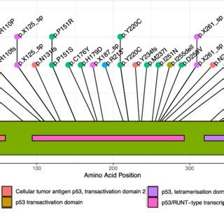 Lollipop Plot Showing Location And Sequence Of TP Mutations In Breast Download Scientific