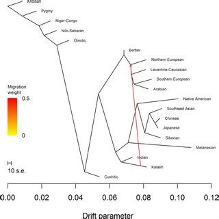 TreeMix Analysis With No Migration Events The Second Most Frequently Download Scientific