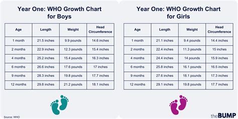 Average Newborn Length Explained