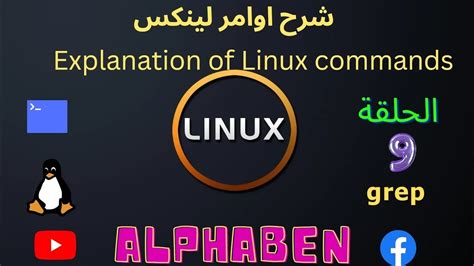 شرح اوامر لينكسlinux Command Grep 09 Youtube