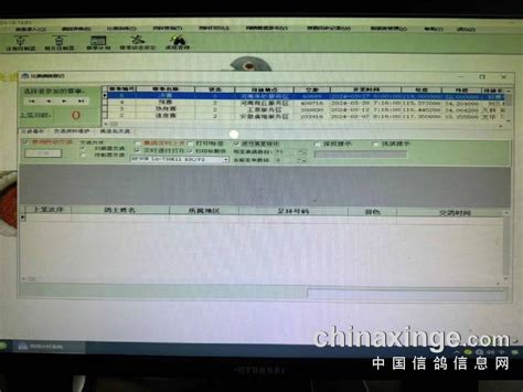 扬州福联翱翔决赛上笼照片 扬州福联翱翔赛鸽中心 中信网各地公棚