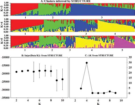Genetic Structure Of 157 Side Oats Grama Plants Representing Wild Download Scientific Diagram
