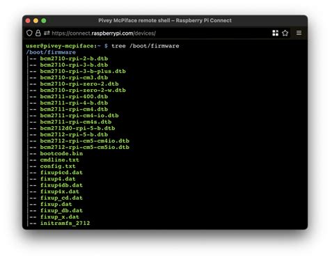 Raspberry Pi Connect Remote Shell Access And Support For Older Devices