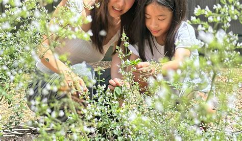 รวมรูปภาพของ น้องอลิน ขอถ่ายรูป พีพี กฤษณ์ ตอนจบพี่ช็อตฟีลสาวน้อยแรงมาก รูปที่ 17 จาก 18