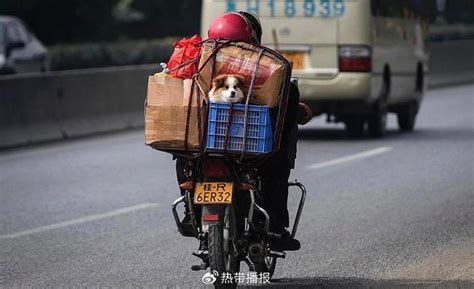 超暖心！春运首日 携程全国征集 摩托大军”踏上不一样的返乡路