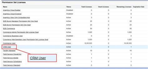 How To Create Custom Permission Set In Salesforce Salesforce Faqs