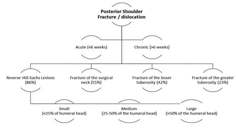 Posterior Shoulder Fracture Dislocation