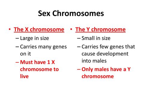 asexual vs sexual reproduction ppt download