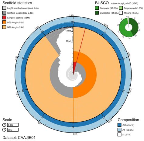 Genome Assembly Of Salmo Trutta Fsaltru11 Metrics The Blobtoolkit