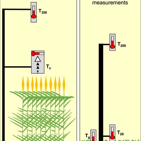 Pdf Impact Of Heat Stress On Crop Yield On The Importance Of Considering Canopy Temperature