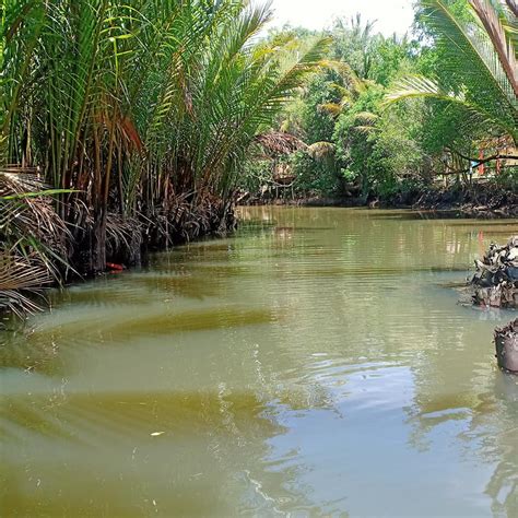 អាហារដ្ឋានចំការស្វាយ