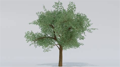 Simple Oak Tree Collection 3d Model Turbosquid 2152460