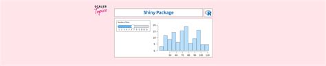 Shiny Package In R Scaler Topics