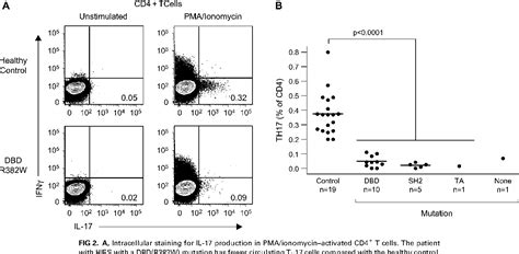 Abscess Of Skin AND OR Subcutaneous Tissue Semantic Scholar