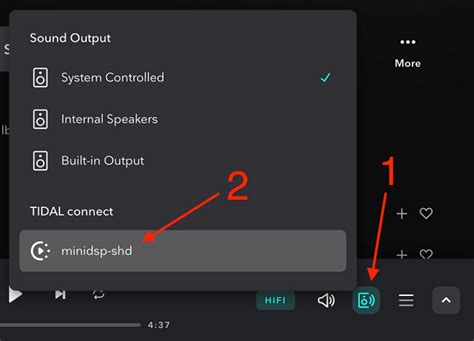 How To Play Tidal Music With Tidal Connect
