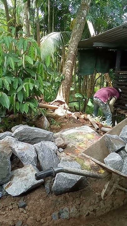 රන් වන් විහිලුව Youtube