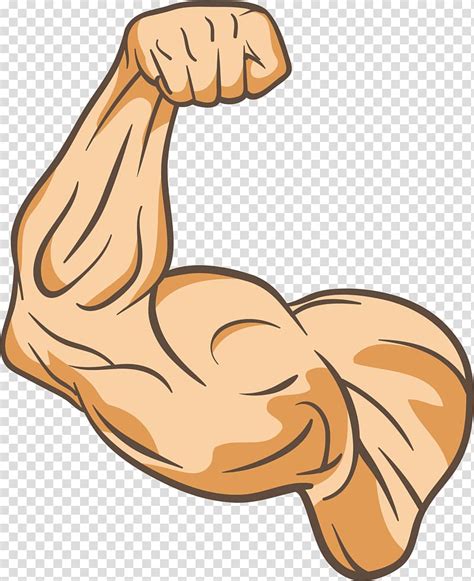 Strong Arm Flex Illustration Free Png Clipart For Fitness