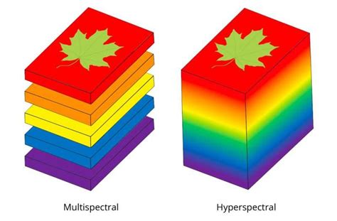 Hyperspectral Vs Multispectral Cameras Understanding Advantages And Limitations In Spectral