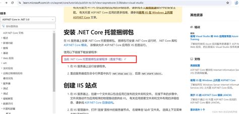 IIS中搭建 Net Core项目步骤详解 iis部署netcore CSDN博客