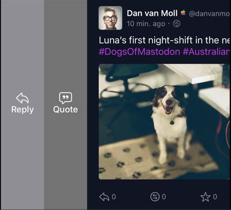 The Making Of Ice Cubes An Open Source Swiftui Mastodon Client