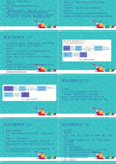神经外科体格检查与观察要点ppt模板 卡卡办公