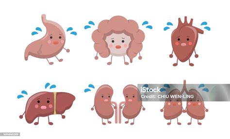 신장과 간을 가진 심장과 폐를 가진 위와 내장 장난스럽고 귀여운 인간 장기 마스코트 세트 간암에 대한 스톡 벡터 아트 및 기타 이미지 간암 건강관리와 의술 경화증