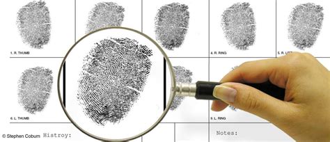 Dispute Mortelle Laffaire Raphaël Lomoro S5 Indices Télé Loisirs