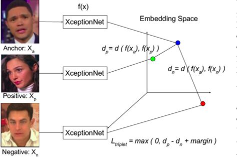 Representation Of The Triplet Loss Network Using The Xceptionnet As The