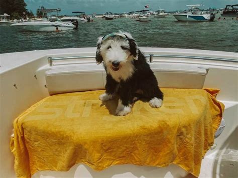 Neha Taneja On Linkedin Stryker Wearestryker Summervacation Wearsunscreen