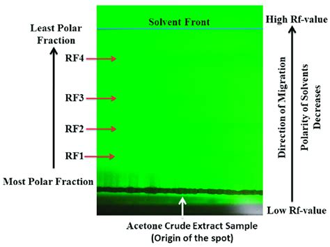 Tlc Uv Fractionation Of Crude S Triloba Acetone Extract Four Download Scientific Diagram