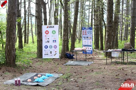 საზოგადოებრივი საზოგადოებრივი ორგანიზაცია აისი