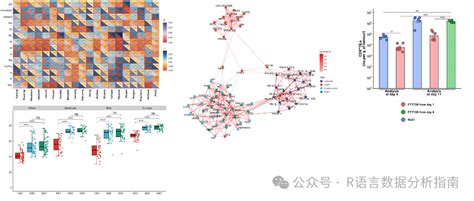 跟着nc学绘图 Ggplot2批量绘制配对箱线图 腾讯云开发者社区 腾讯云