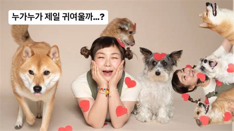 나만힘드러워vlog 넷중 누가 누가 제일 귀여울까🤔 금세기최대난제 Youtube