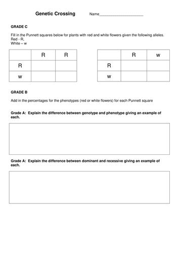 Genetic Inheritance Teaching Resources