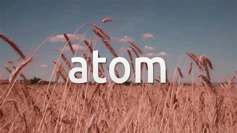 How To Install Atom Text Editor On Deepin 202