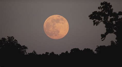 El 24 De Junio Tendrá Lugar La Última Superluna Del Año Nasanet