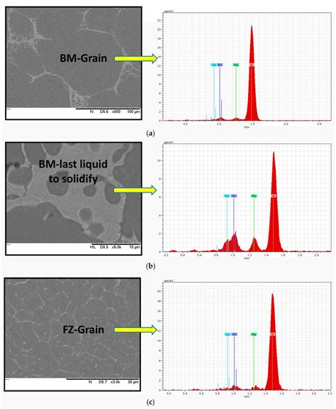 Energy Dispersive X Ray Edx Analysis At Jordan Judah Blog