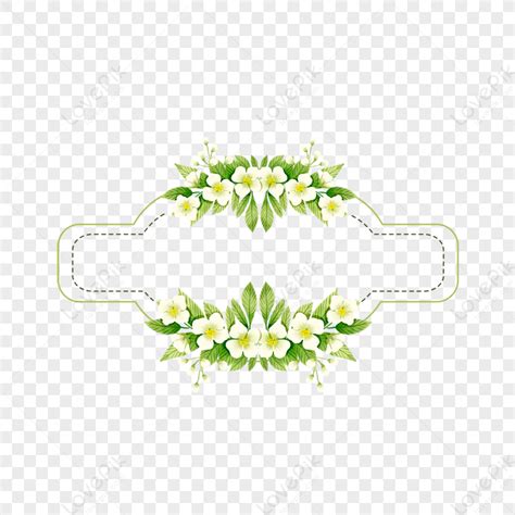 아름다운 재스민 꽃 일러스트 테두리배너신선한자연 Png 일러스트 무료 다운로드 Lovepik