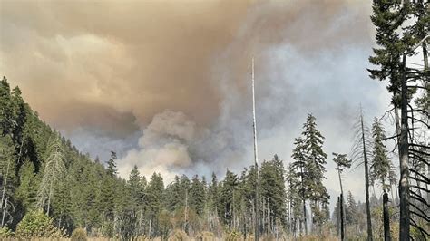 Human Caused Wildfires In Pacific Northwest Surge Compared To Last Year